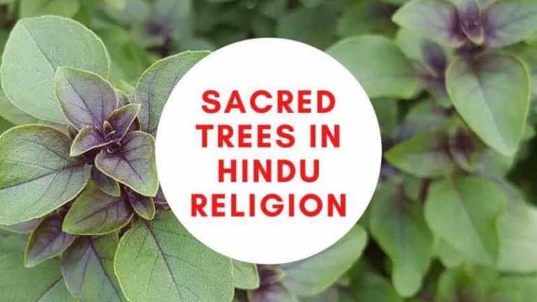 Sacred Trees in Hindu Religion - hindureligion.co.in